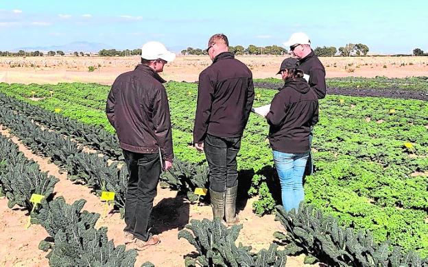 Tozer Seeds presenta sus nuevas variedades hortícolas y últimos avances ...