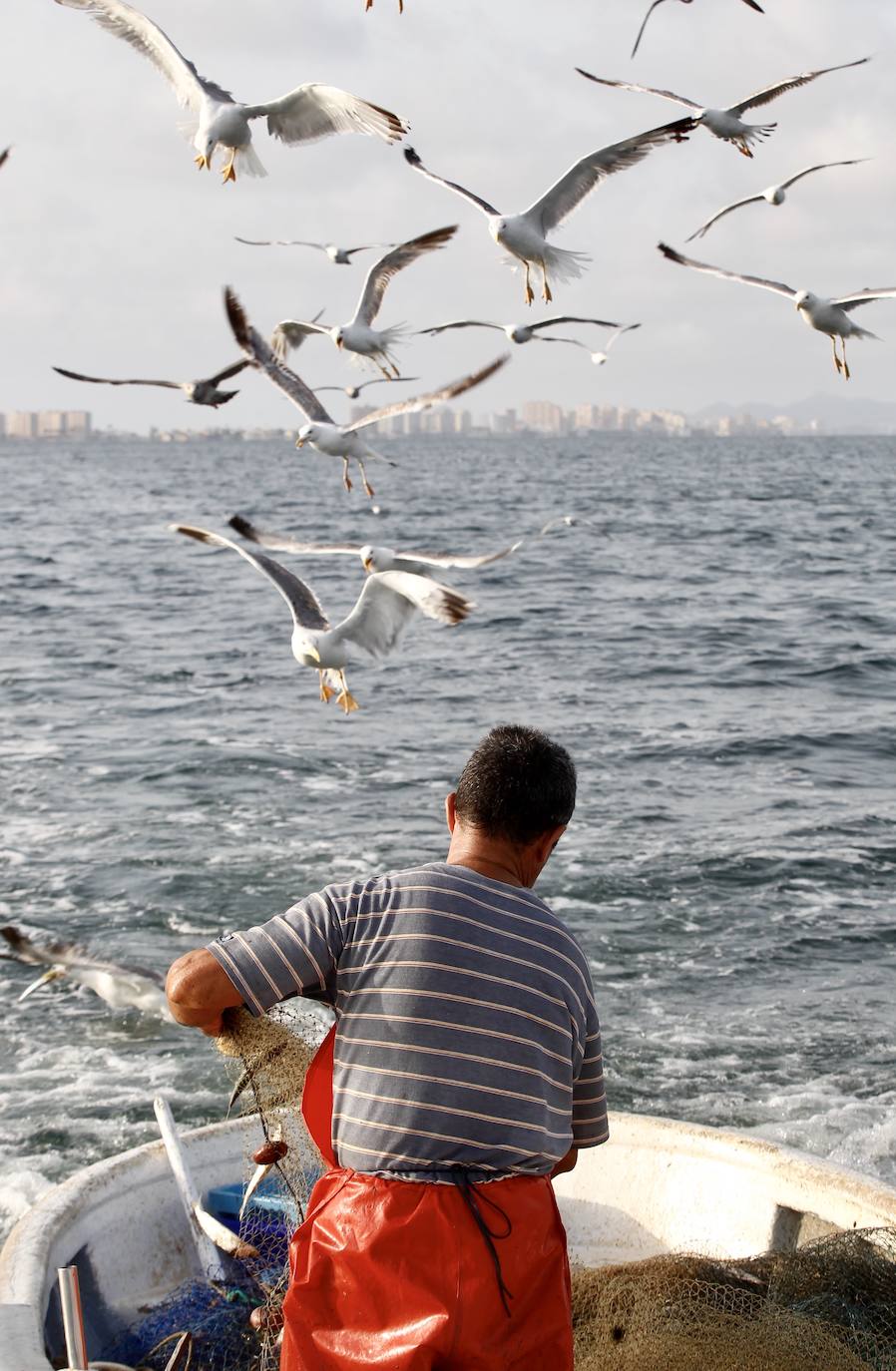 Fotos: El trabajo de los pescadores del Mar Menor, en imágenes | La Verdad