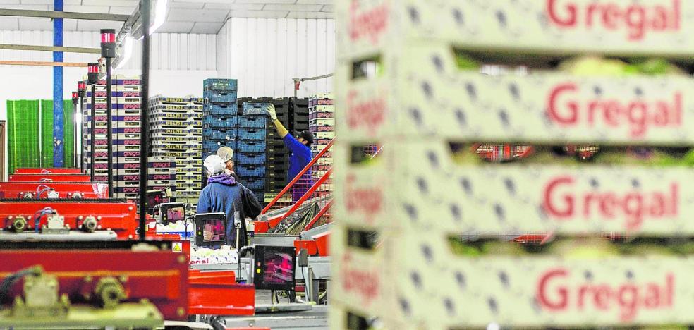 Gregal, calidad y tradición como forma de vida desde 1979 | La Verdad