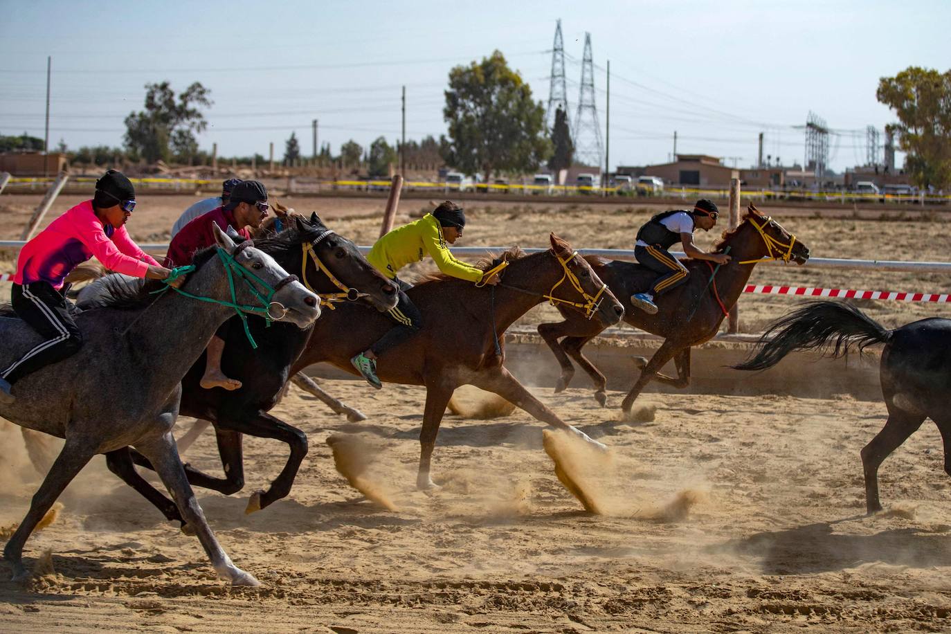 Fotos: Festival de caballos árabes en la renovada Ciudad Ecuestre de ...