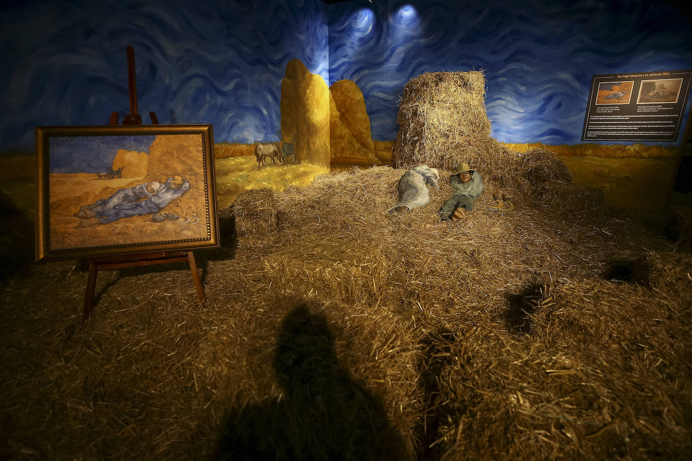 Fotos: 'Van Gogh, el sueño inmersivo' | La Verdad