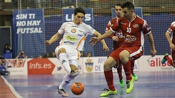ElPozo suda para pasar a semifinales de la Copa de España | La Verdad